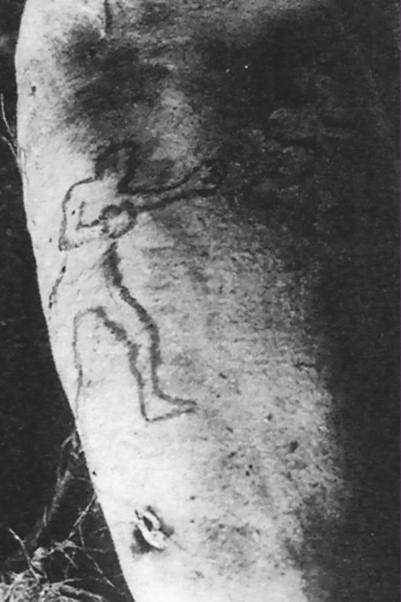 Episode 19: TRUE CRIME – The Shark Arm Case – Coast Files Podcast