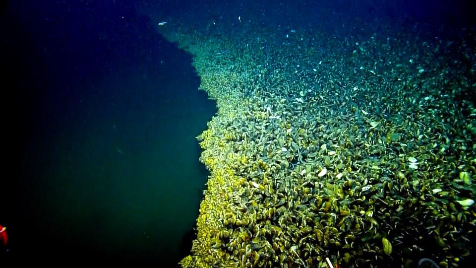 Episode 30: OCEAN MYSTERY – The Jacuzzi of Death – Coast Files Podcast