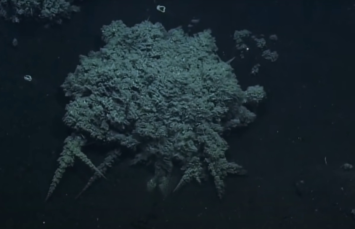 Episode 30: OCEAN MYSTERY – The Jacuzzi of Death – Coast Files Podcast