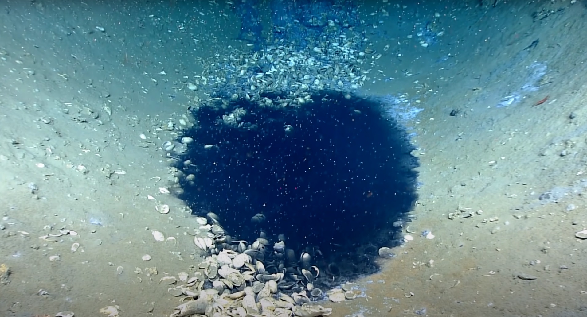 Episode 30: OCEAN MYSTERY – The Jacuzzi of Death – Coast Files Podcast