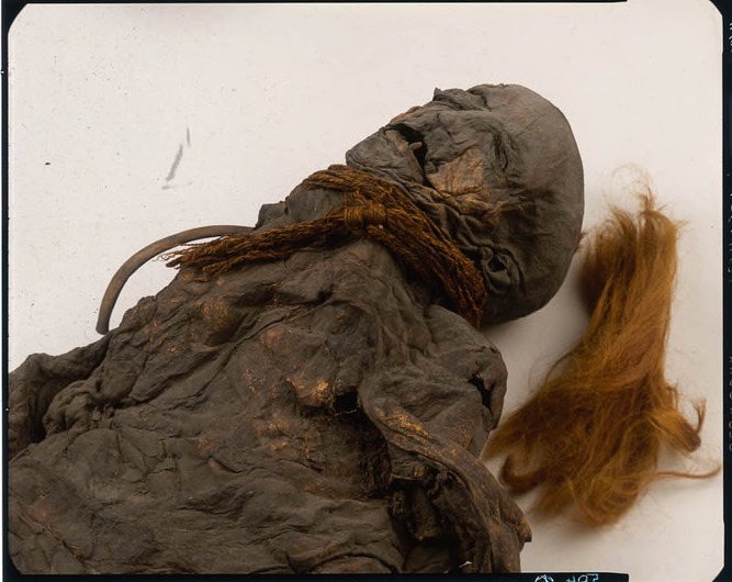 Episode 46: MYSTERY – The Windover Bog Bodies – Coast Files Podcast