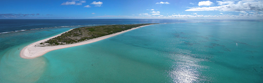 Episode 75: CONSERVATION – Papahānaumokuākea: The Ocean’s Sacred ...